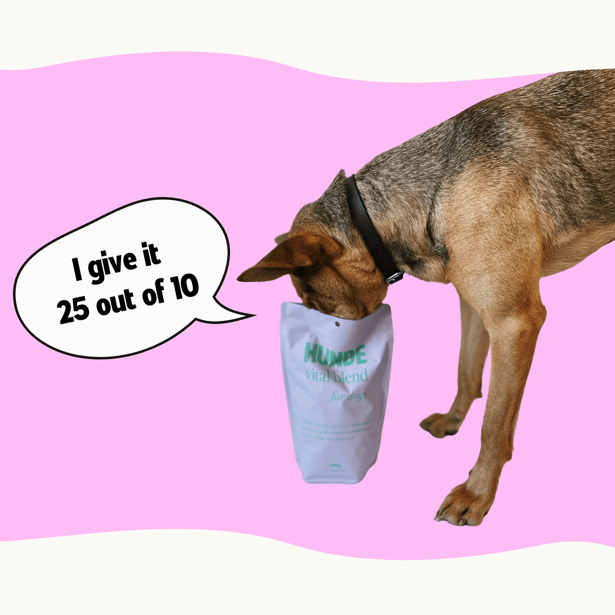 Essential Blend for Dogs - HUNDE